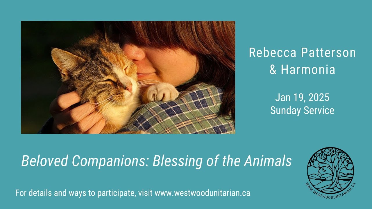 “Beloved Companions: Blessing of the Animals,” Rebecca Patterson ...
