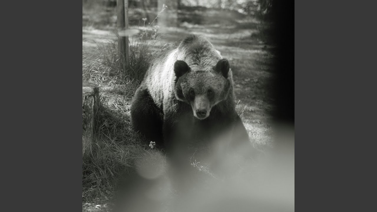 Asher Has Dangerous Farts (Asher Poop) - YouTube