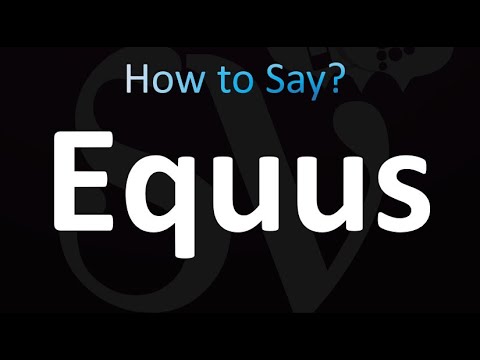 How to Pronounce Equus (Correctly!) - YouTube