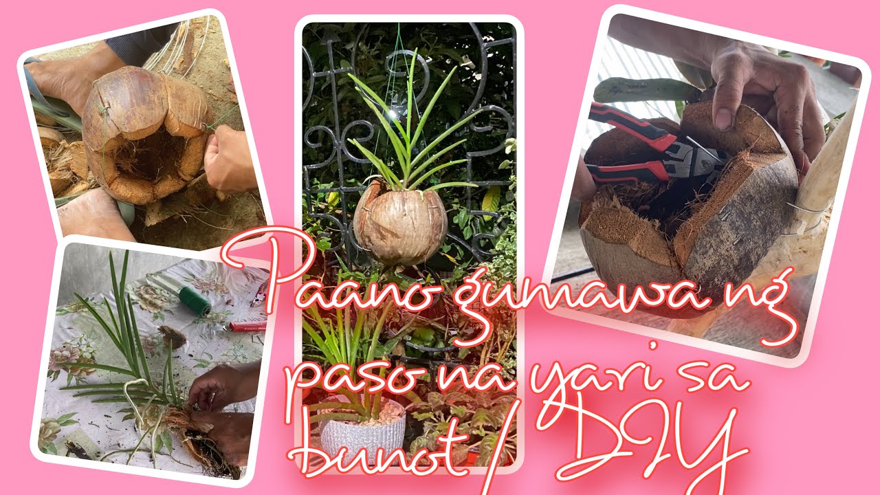 Paano gumawa ng lagayan ng halaman na yari sa bunot?/How to make a pot ...