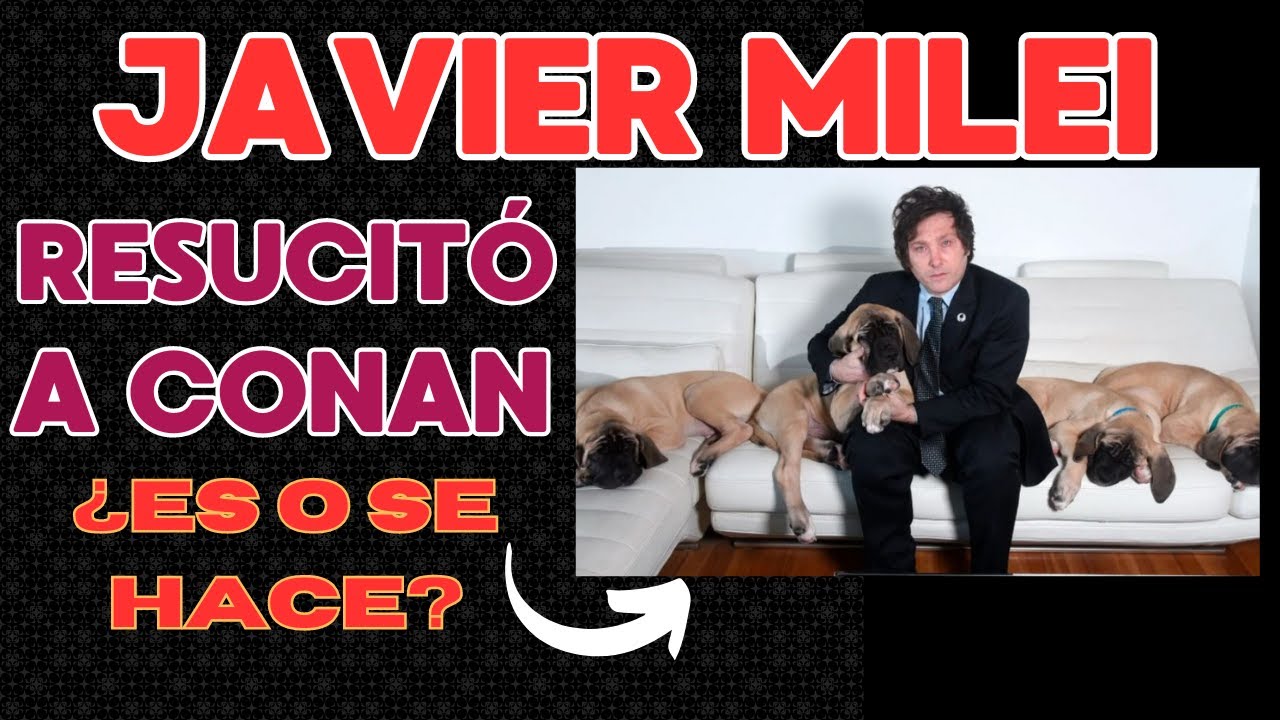 Milei resucitó a Conan. La CNN lo entrevistó y nombró a Conan entre sus ...
