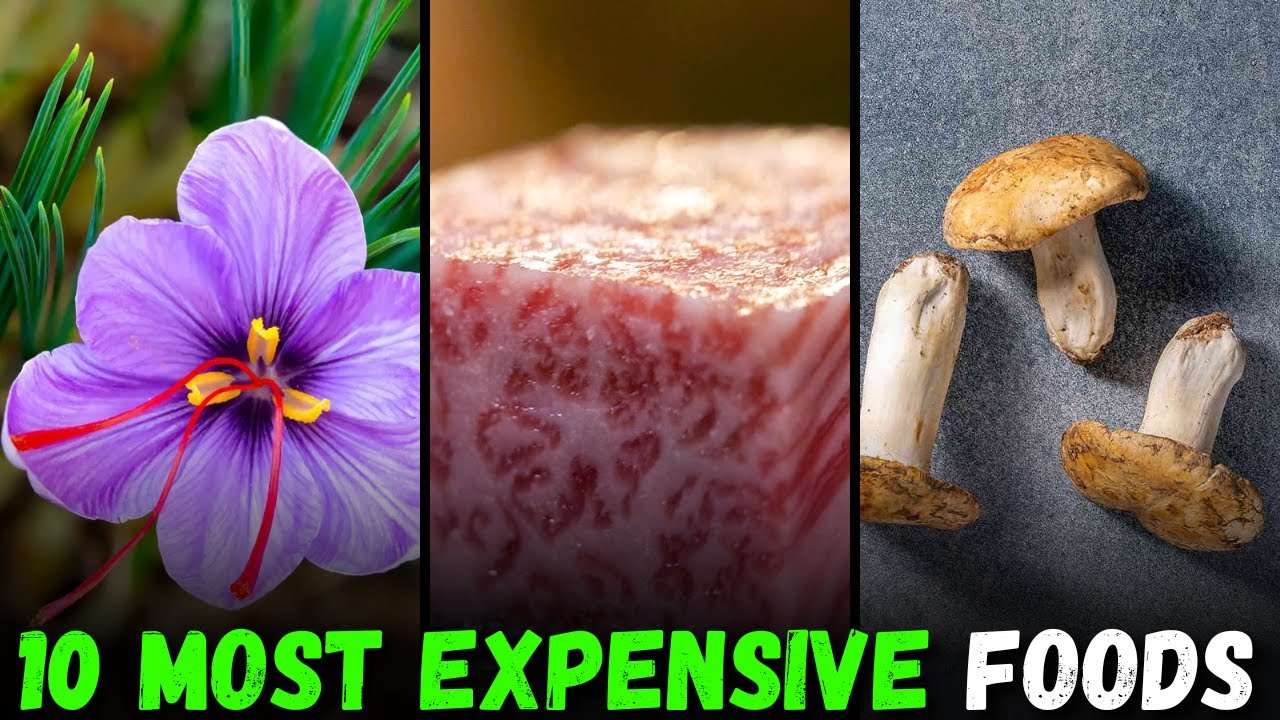 10 Most Expensive Food in The World | Most Expensive things - YouTube