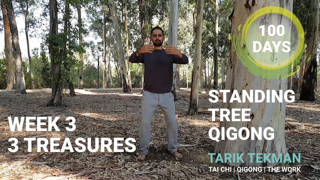 Standing Tree Qigong Week 3/15 Three Treasures - YouTube