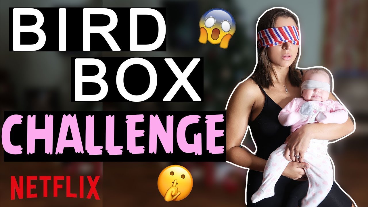 BIRD BOX CHALLENGE - HILARIOUS!! - YouTube