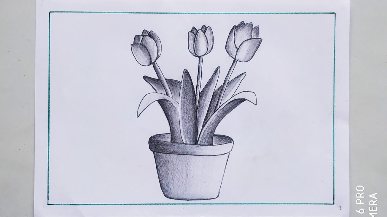 Fuldani Drawing🌻 | Easy and simple Flower Pot Drawing | Flower Vase ...