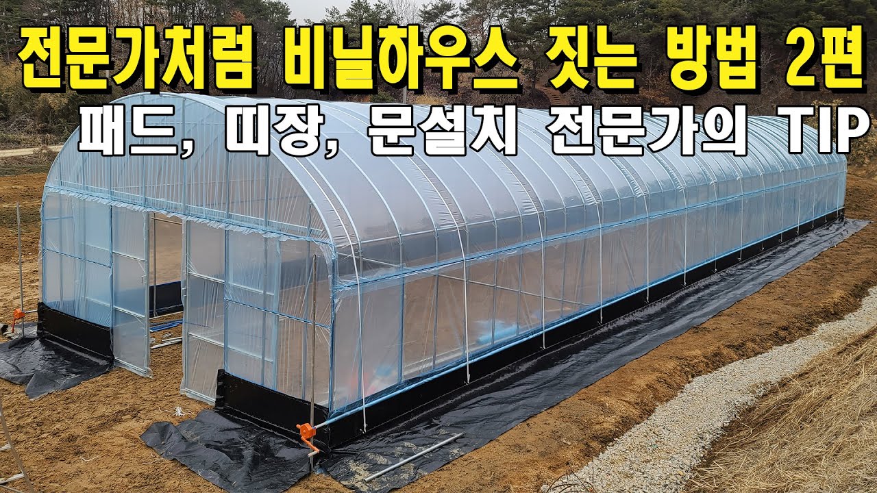 이 영상이면 혼자 비닐하우스 지을 수 있습니다전문가의 노하우를 배워봅시다🤠 비닐하우스 혼자 짓기 비닐하우스 패드 비닐
