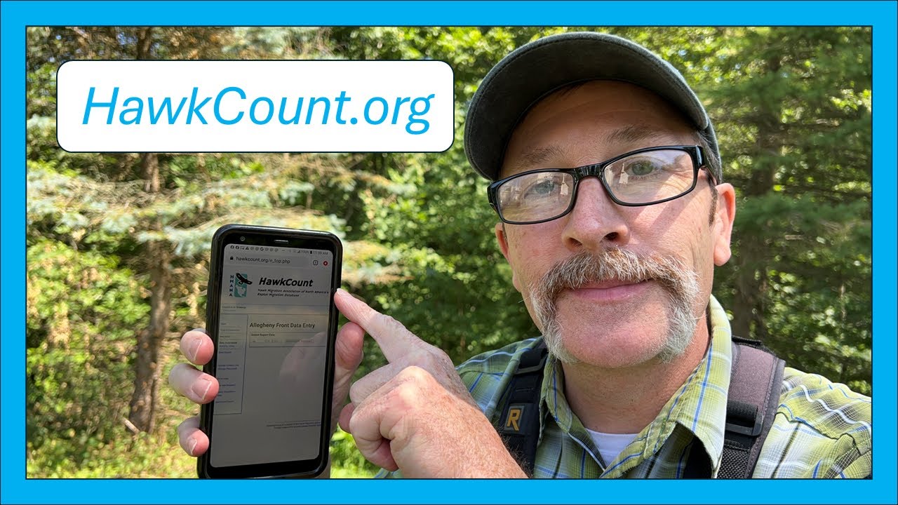Hawkcount.org - Fall 2024 - YouTube