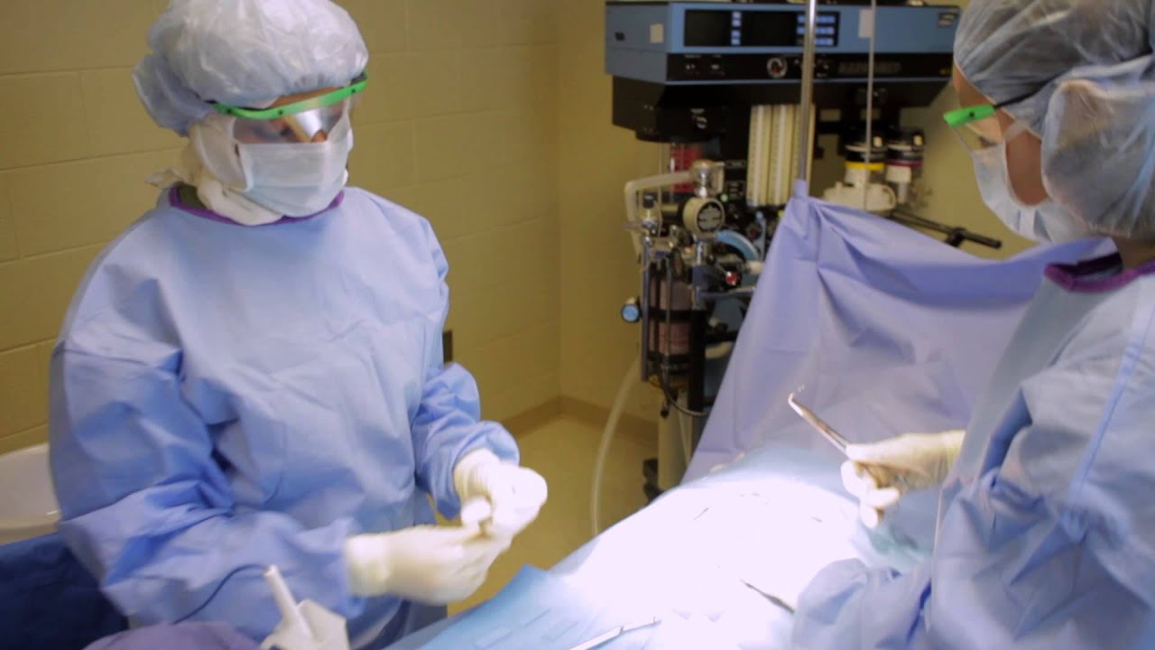 Your Class in 60 Seconds: Surgical Technology - YouTube
