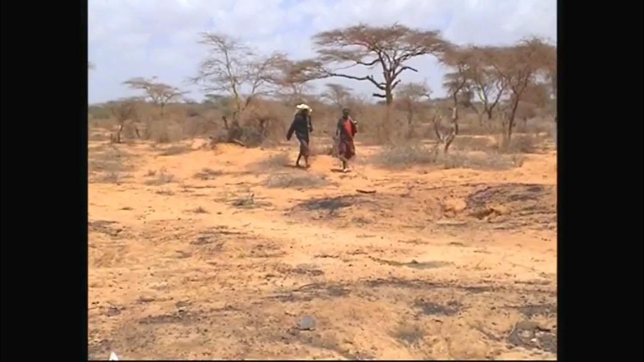 Xasuus AHU soraan iyo jawaan riwaayad xaalufka dhirta.. - YouTube