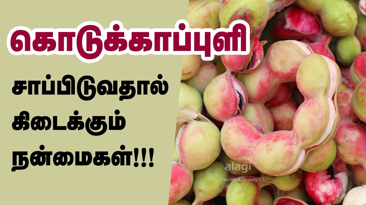 கொடுக்காப்புளி மருத்துவ பயன்கள் | Kodukapuli Health Benefits Tamil ...