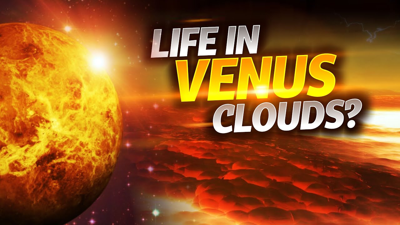 Rocket Lab Venus Mission to Look for Life | Life on Venus? - YouTube