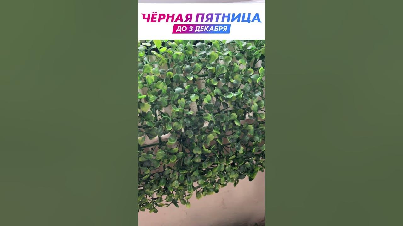 Трава искусственная Артикул на озон 1686175832 #ozonхочумиллион #ozon ...