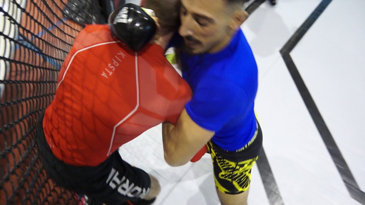 MMA - ASSOLUTO 70KG - PELLONE VS CECCONI - YouTube