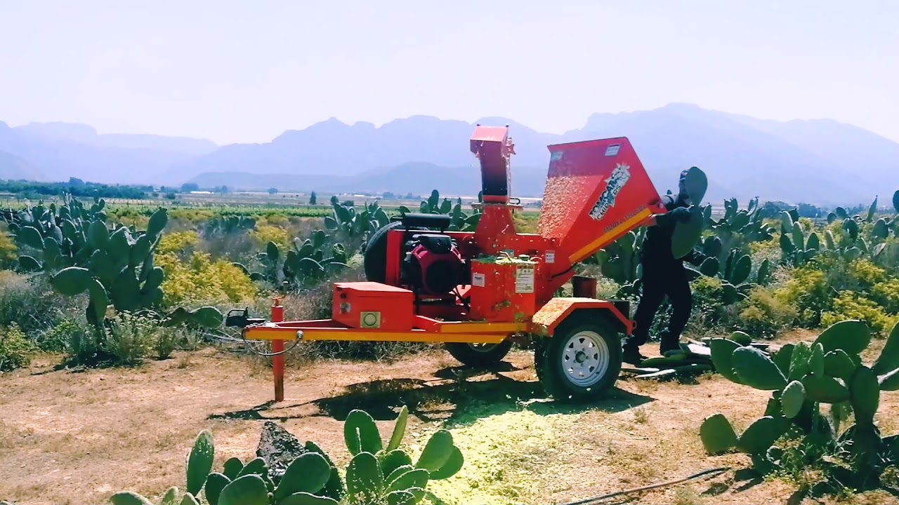 Wood chipper TOMCAT chipping Prickly Pear leaves (Turksvye) - YouTube