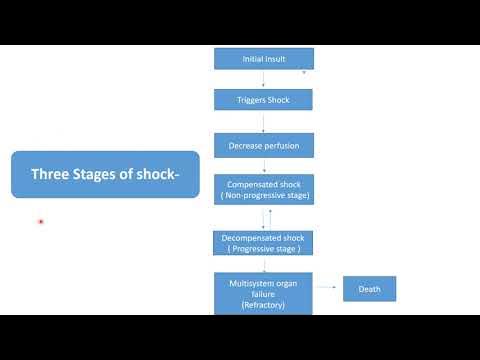 Stages of Shock | Pediatrics - YouTube