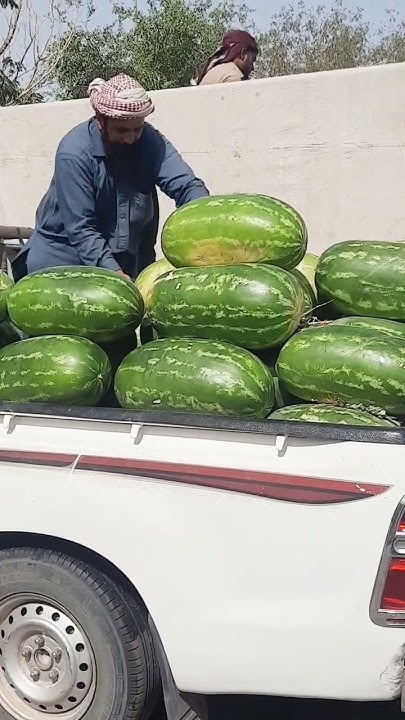 watermelon Sajir vegetable market Saudi Arabia||Jamal Shah vlogs||Jamal Shah - YouTube