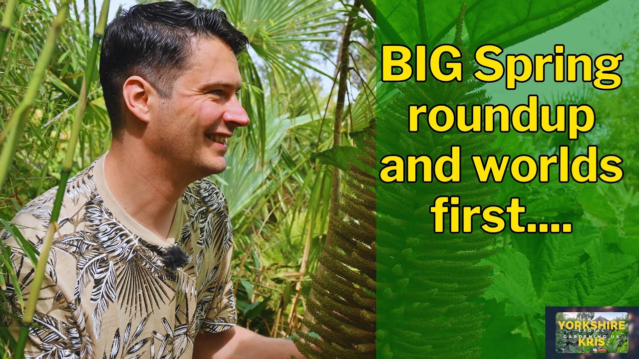 Big garden spring round up and a worlds first..... - YouTube