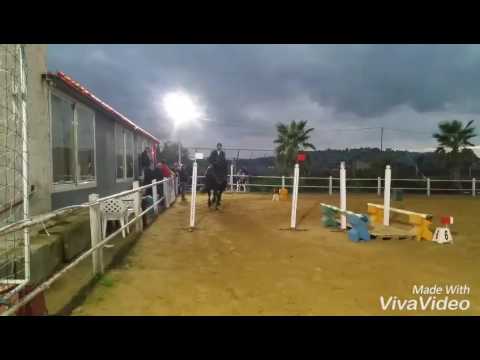 Bucefalo cavallo frisone di Enrico Bonello - YouTube