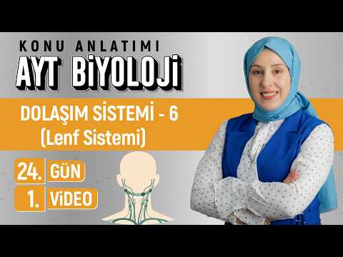 Dolaşım Sistemi-6(Lenf Sistemi) | 24.Gün - 1.Video | 50 Günde AYT Biyoloji Kampı | Kuvvetli Biyoloji