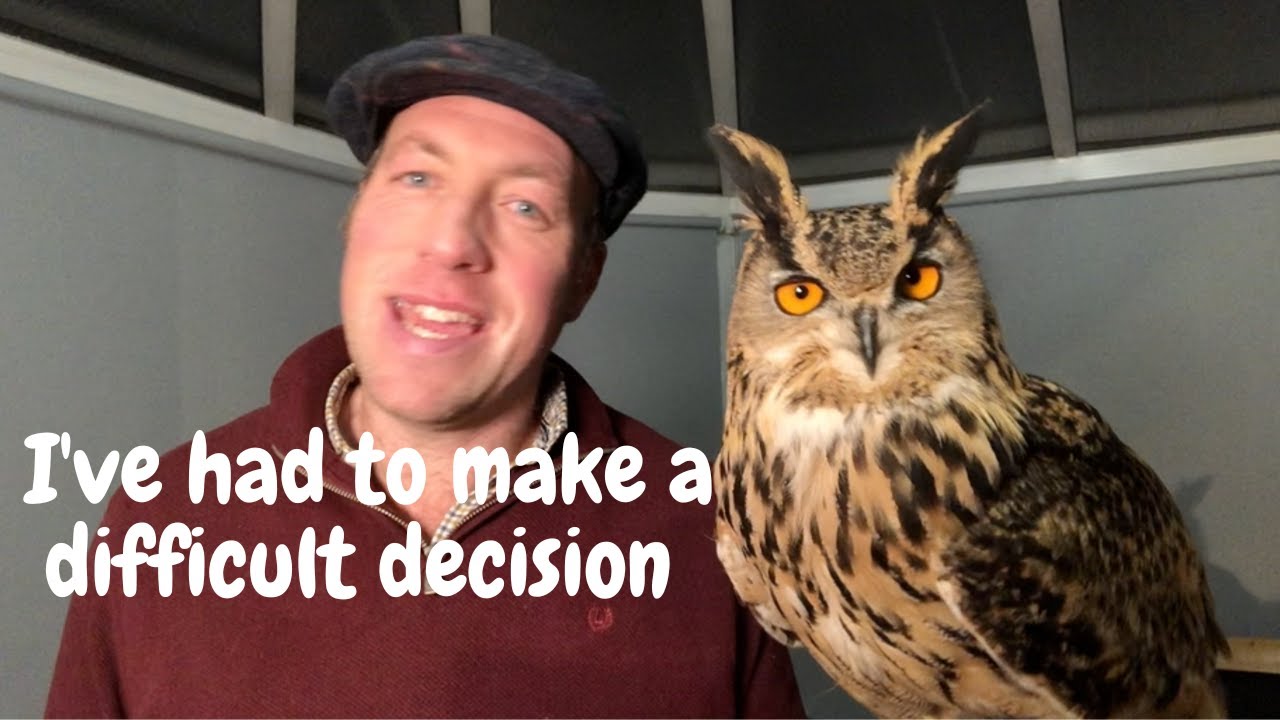 Olly the Eagle Owl has become too dangerous...I explain here - YouTube