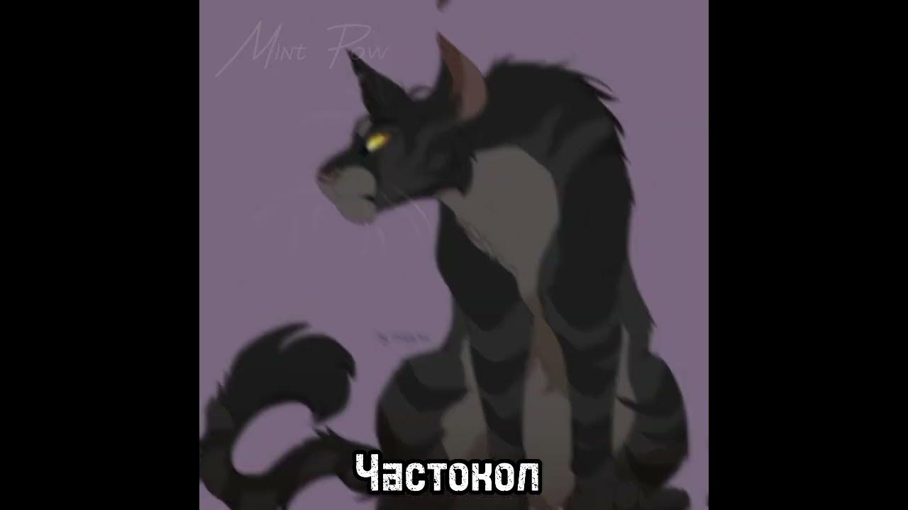 ~Частокол~Коты Воители~ - YouTube
