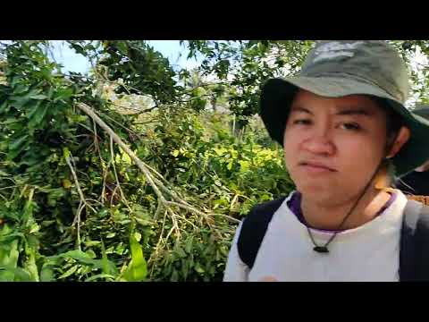 MBBG 2024(4)