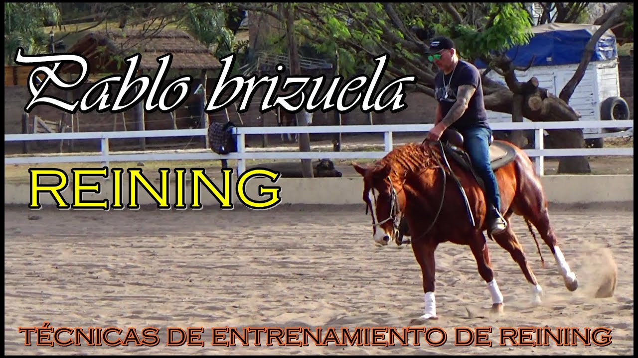 TÉCNICAS DE ENTRENAMIENTO DE REINING - YouTube