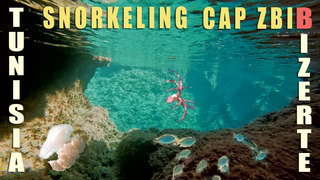 Snorkeling - plongée en apnée - at Cap zbib Bizerte Tunisia غطس بحر كاب ...