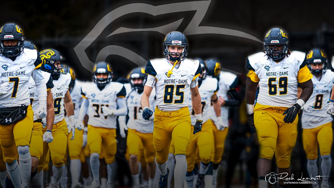 CNDF football full 2023 season highlight - YouTube