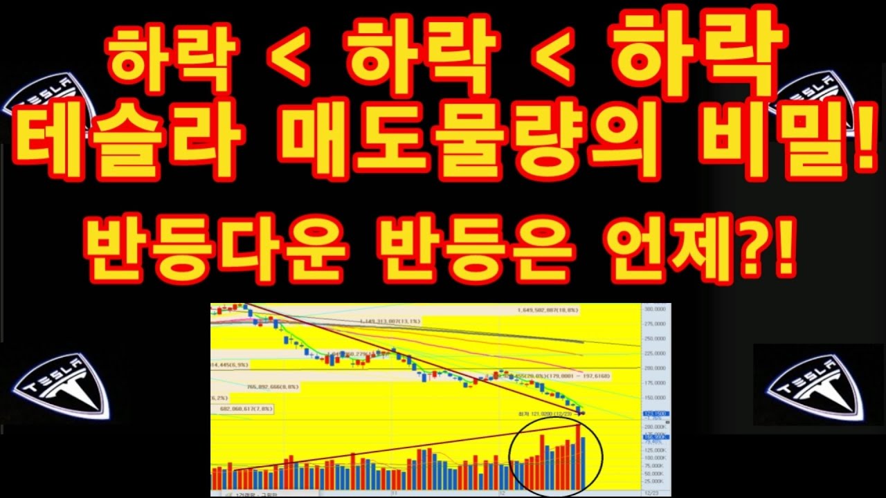 Tsla 매도물량의 비밀 하락이 하락을 부른 테슬라주가 반등다운 반등은 언제 테슬라 투자 Tesla 주가