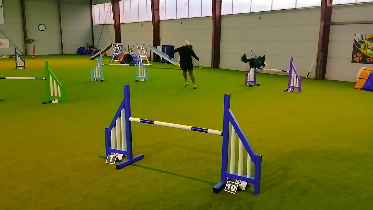 Blitz @Lisa Frick seminar 2020 - YouTube