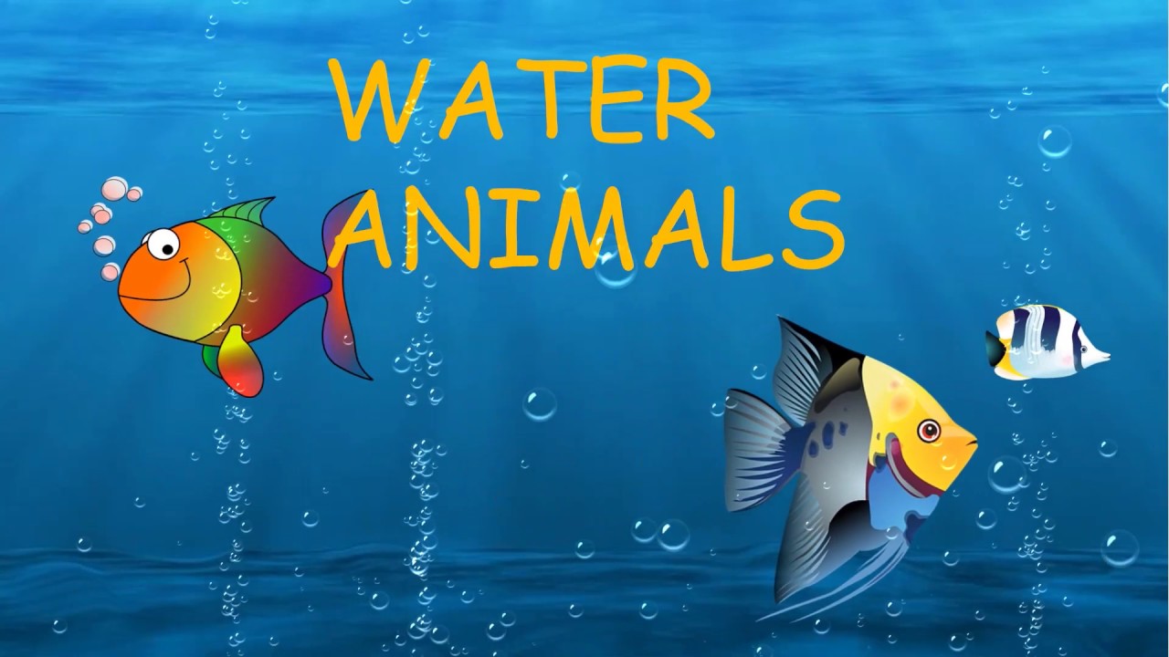 Water Animals | Water animals for kids | Water animals names for kids ...