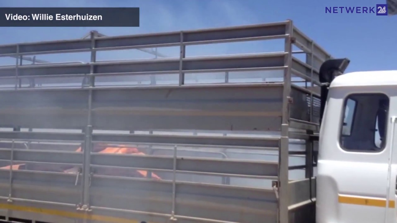 Kyk: Dis so warm, die beesmis smeul! - YouTube