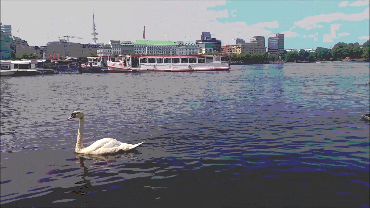 Pale Saints - Sight of you - YouTube