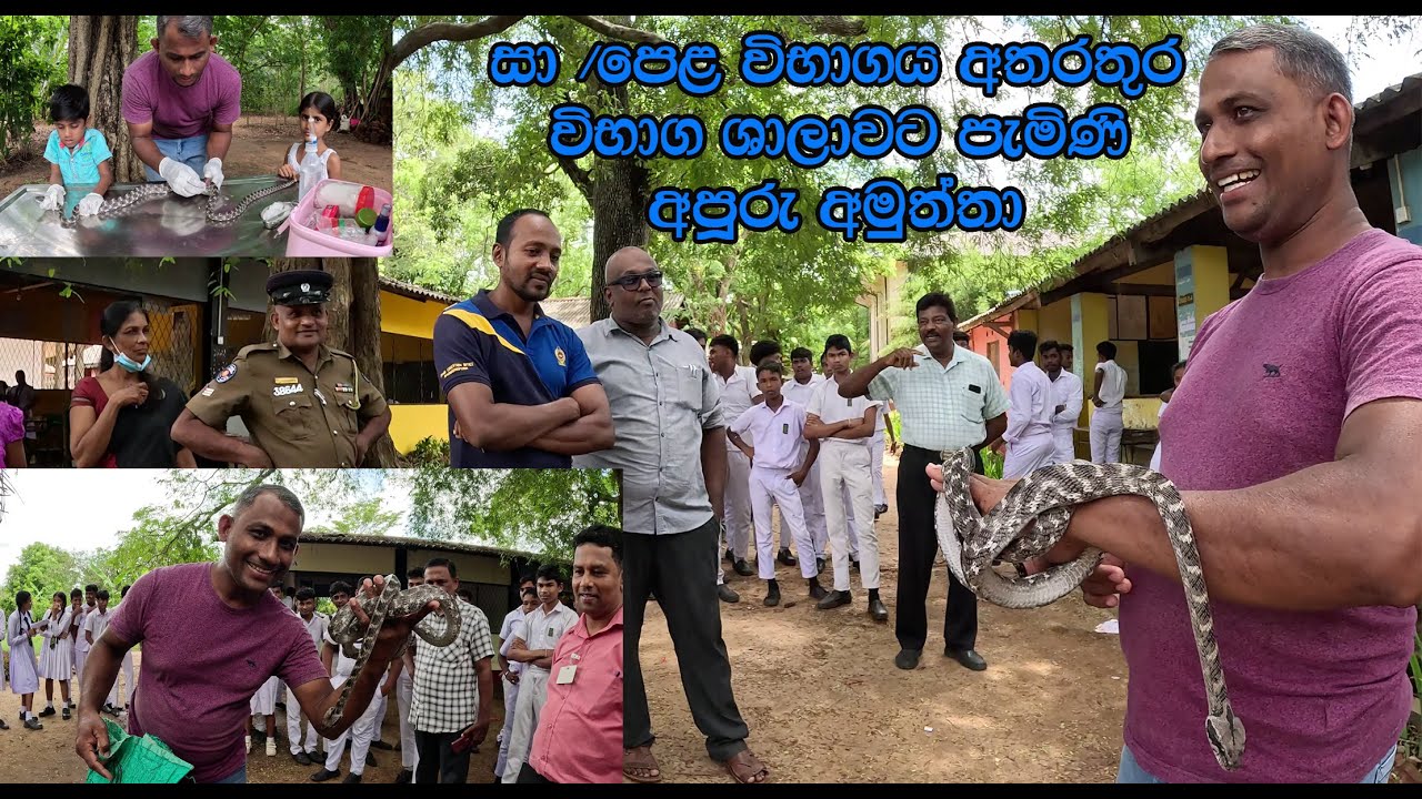 Fostan's Cat snake ( Naga Mapila ) - YouTube