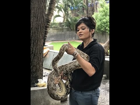 Snake Squad - risking life to save snakes - YouTube
