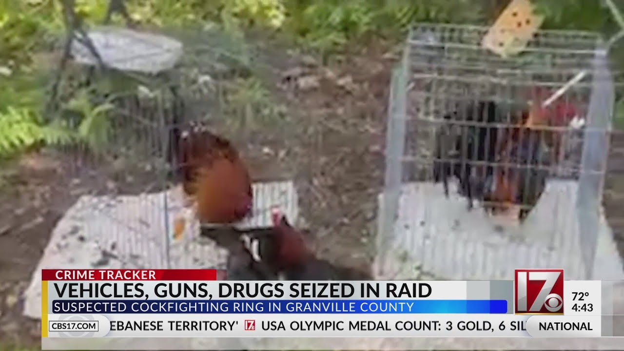 Vehicles, guns, drugs seized in raid in Granville County - YouTube