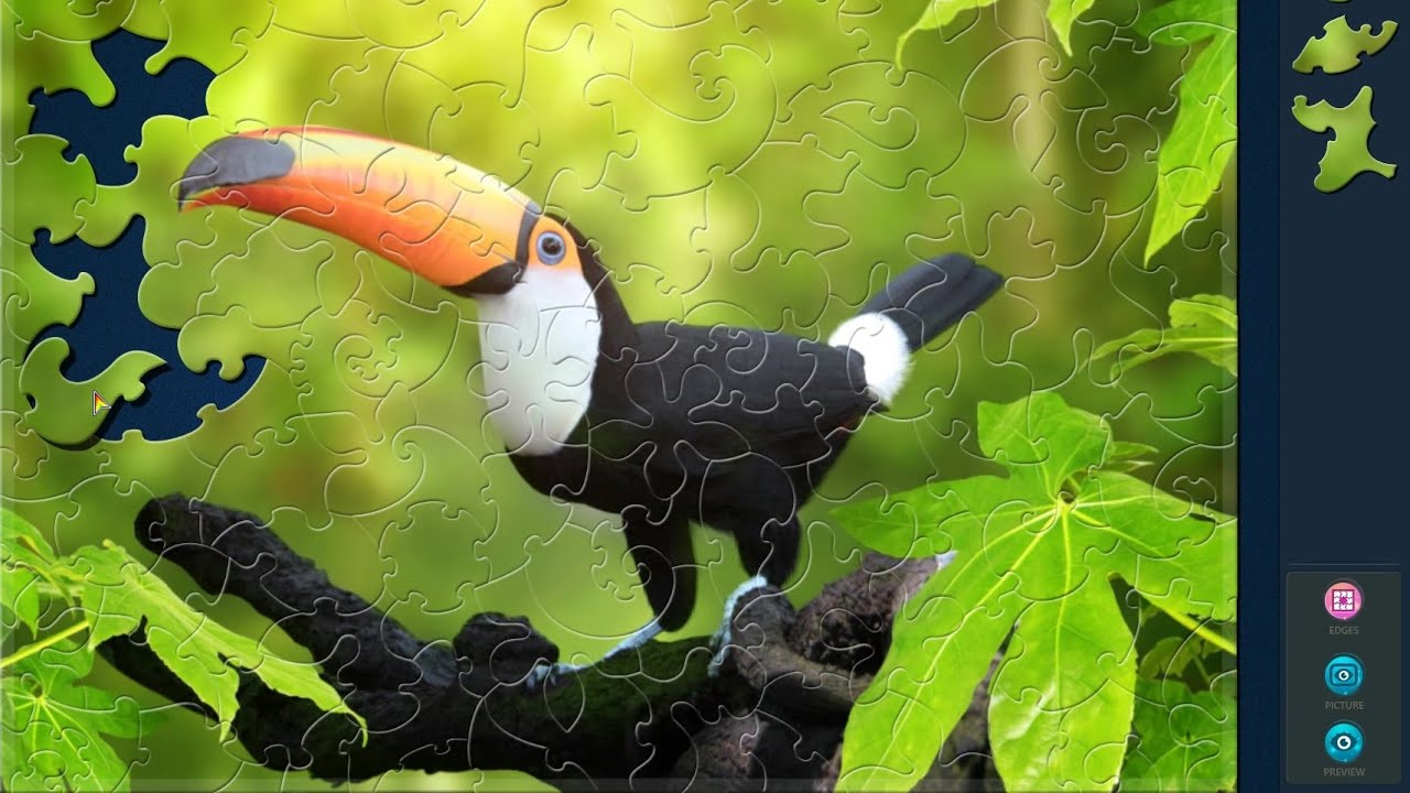 Solving Magic Jigsaw Puzzles 375 (140🧩) Beautiful colorful toucan bird ...