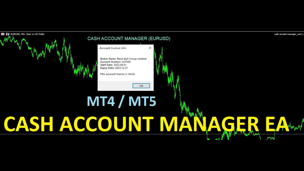 MT4/MT5 Cash Account Manager EA - YouTube