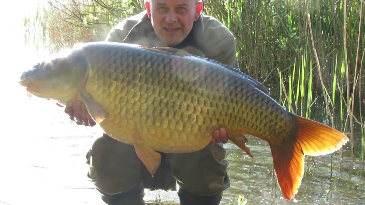 Carp fishing in France - Big French lac public - Video 3 Pêche de la ...