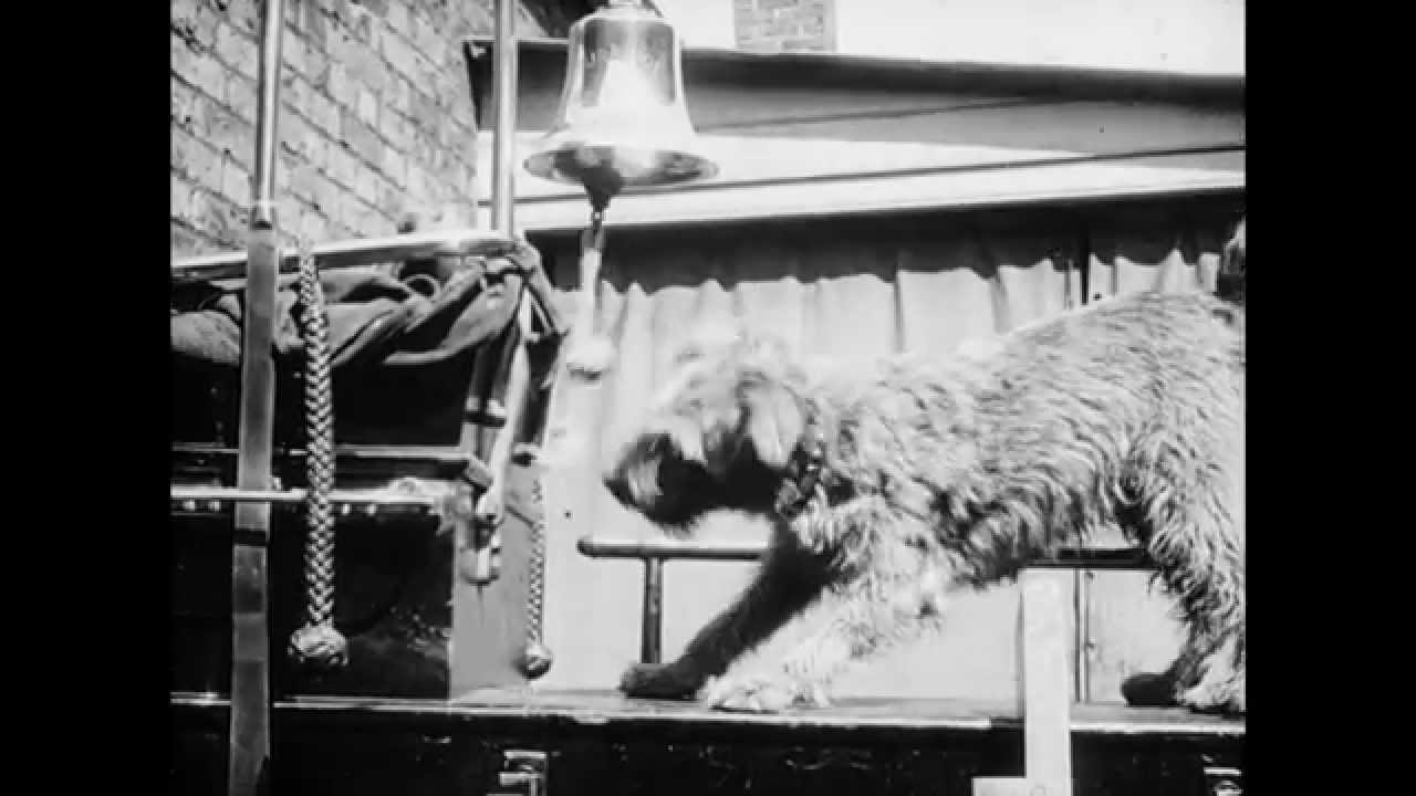 Pathé's Animated Gazette, 250 (1913-12-11/1913-12-25) - YouTube