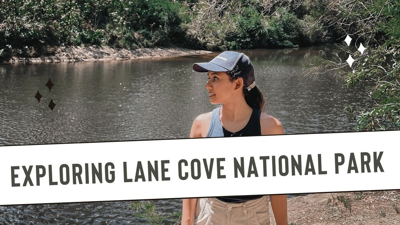 Sydney Walking Tour - Lane Cove National Park | Riverside Walk - YouTube