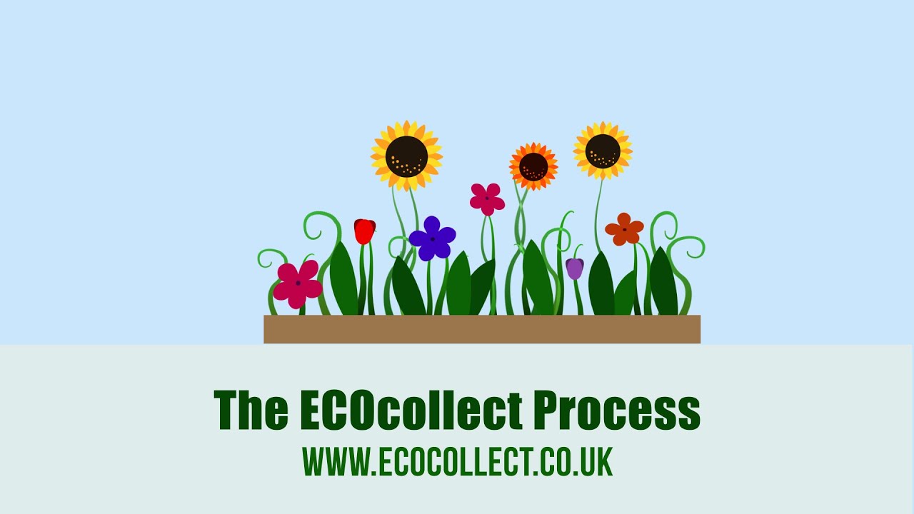 ECOcollect Process - YouTube