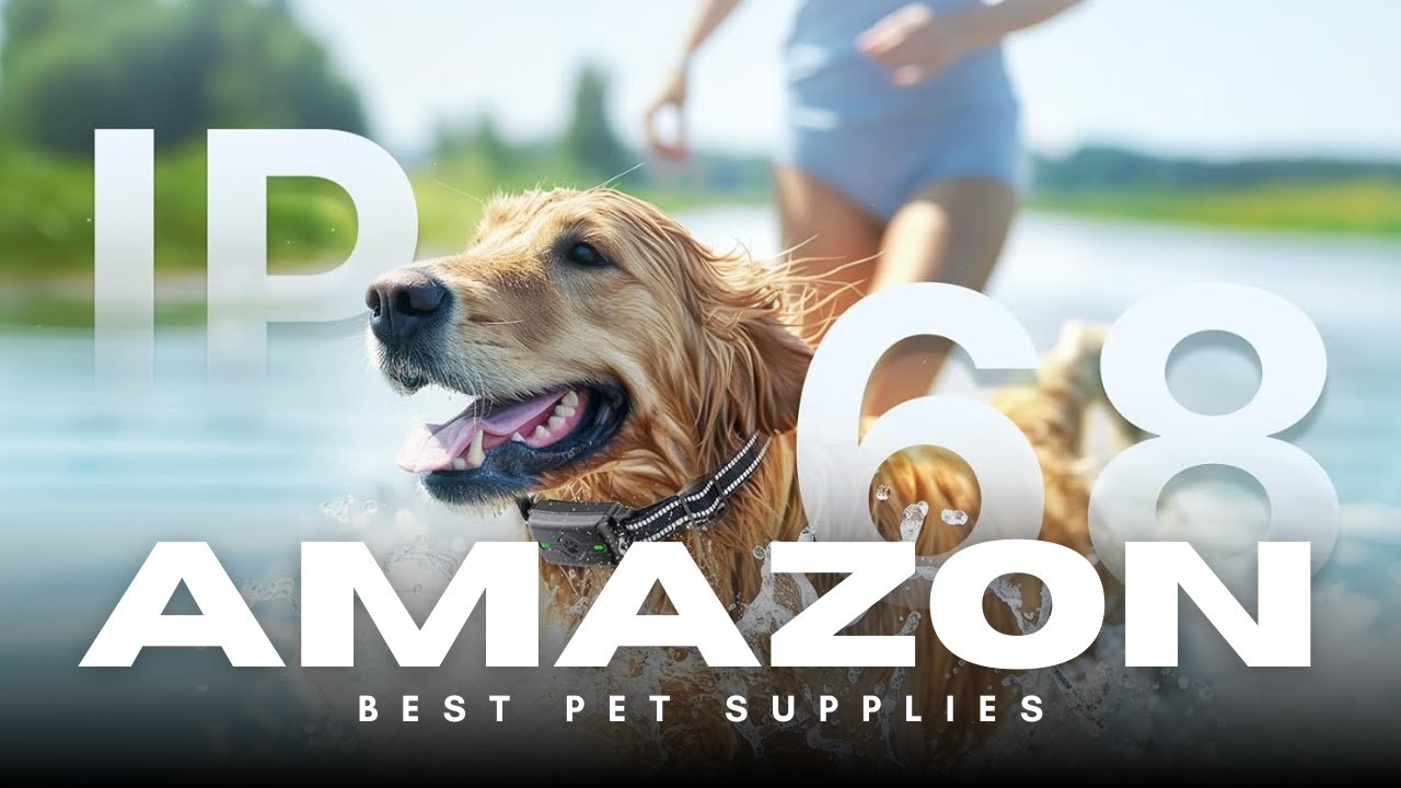 Dog Training Shock Collar 🐕⚡ | Remote-Controlled, Waterproof & 4 Modes ...