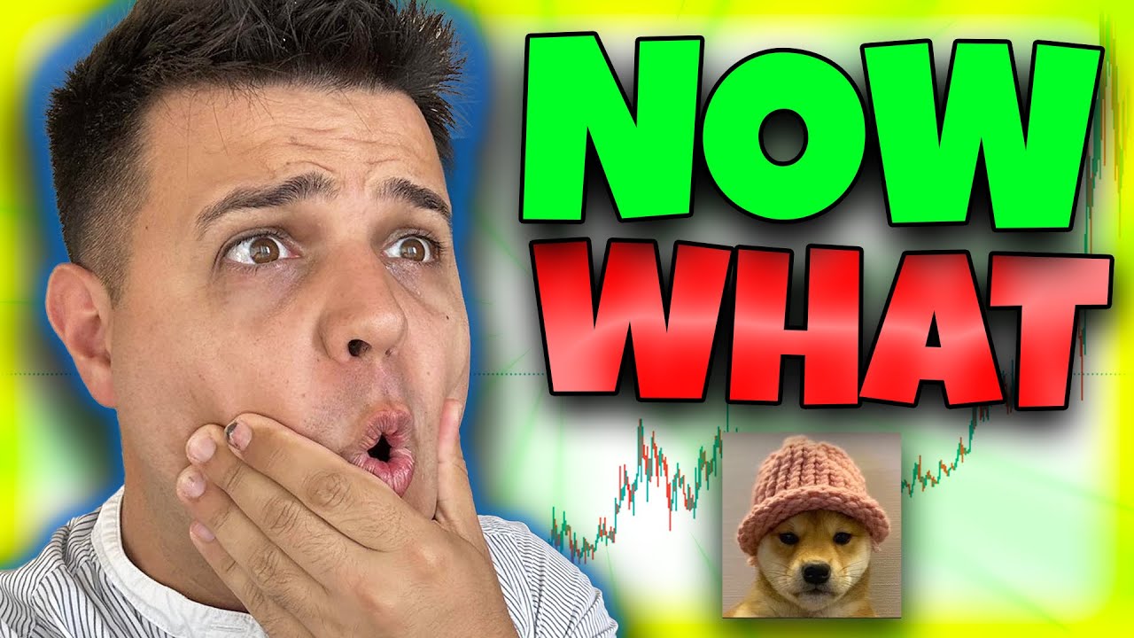 dogwifhat Token WIF Crypto Coin Review Will I buy some? *WATCH BEFORE ...