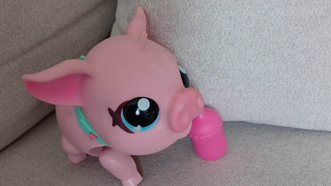 Little Live Pets Walking Pig Piggly toy REVIEW - YouTube