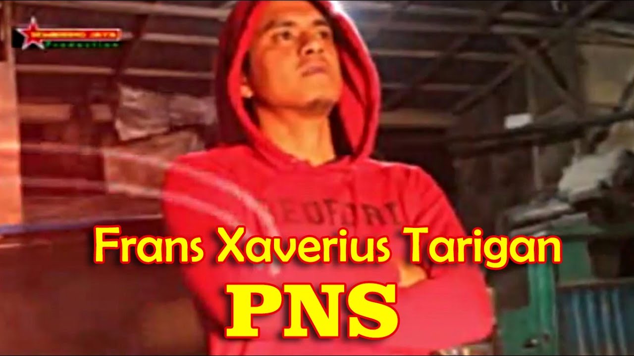 PNS - Frans Xaverius Tarigan | Lagu Karo Terbaru [Official Music Video ...