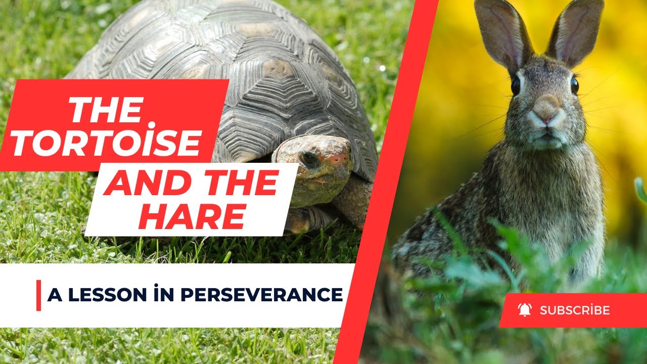 The Tortoise and the Hare: A Lesson in Perseverance | Classic Fables ...