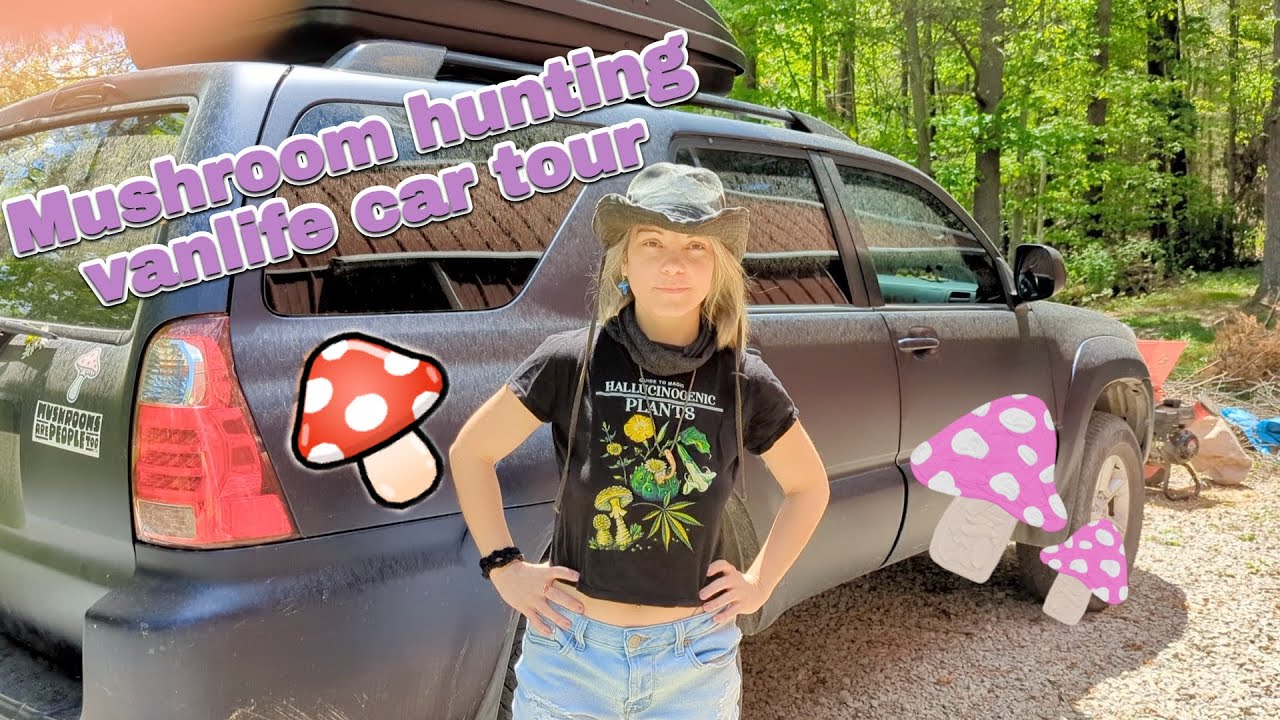 4runner "vanlife" tour - Mushroom adventures - YouTube