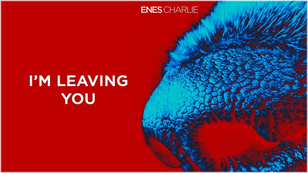 ENES - I'm Leaving You [Official Audio] - YouTube Music